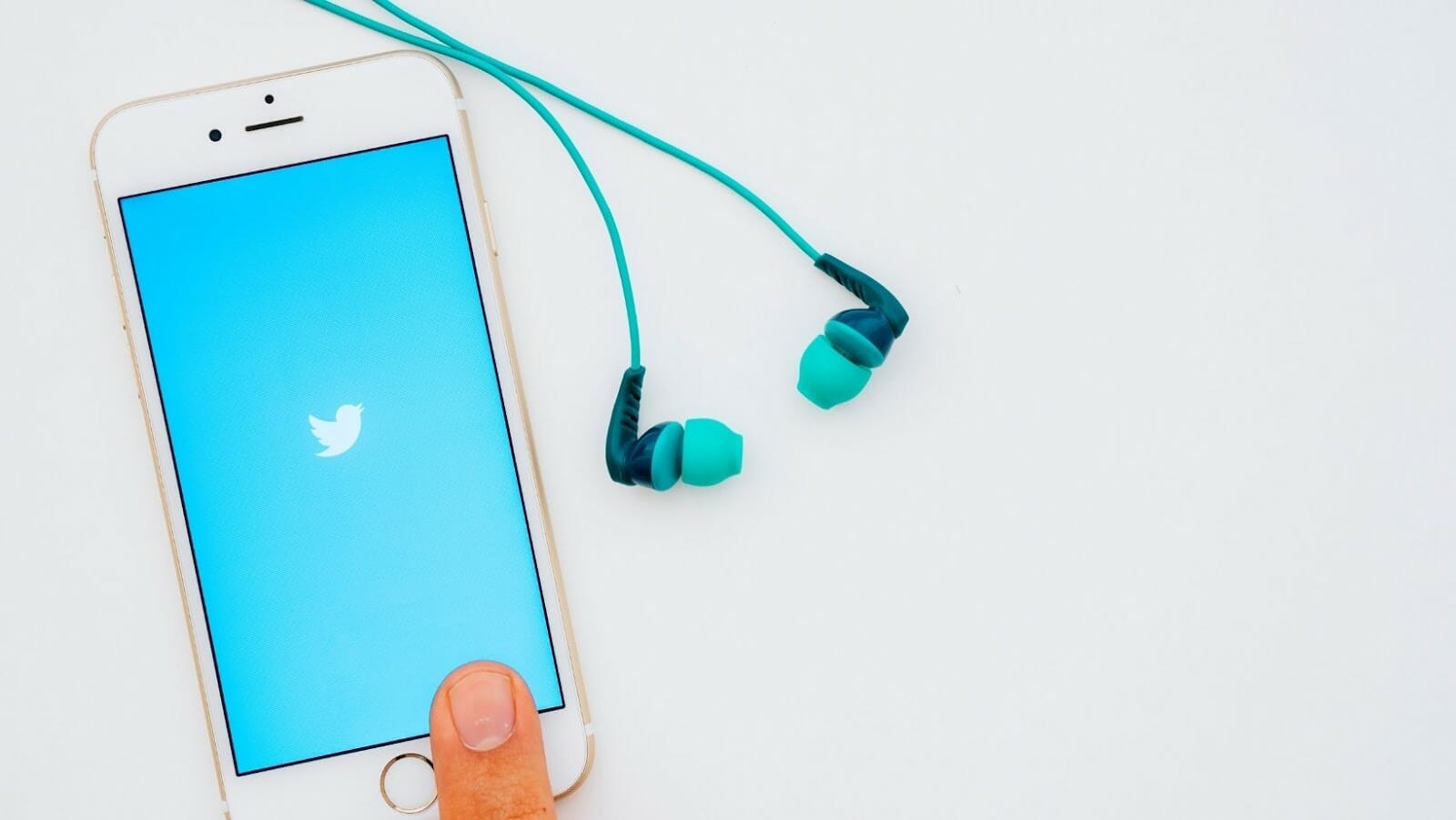 What is a GIF and where can I find them - DaySaver